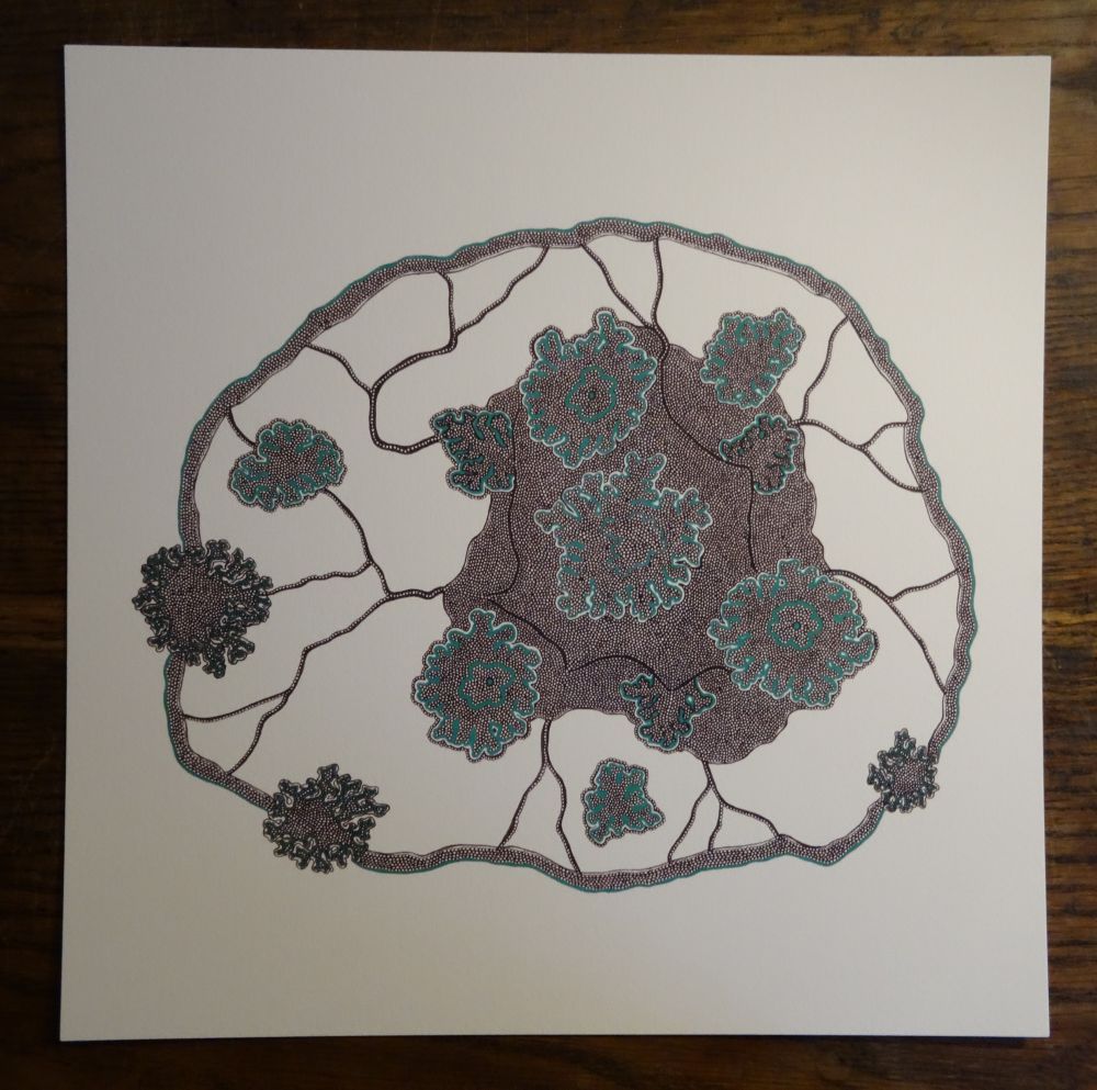 Cerveau lichen, dessin au stylo par Émilie B! | Kwaz'Art