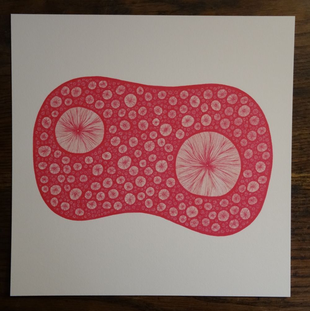 Double rose, dessin au stylo par Émilie B! | Kwaz'Art