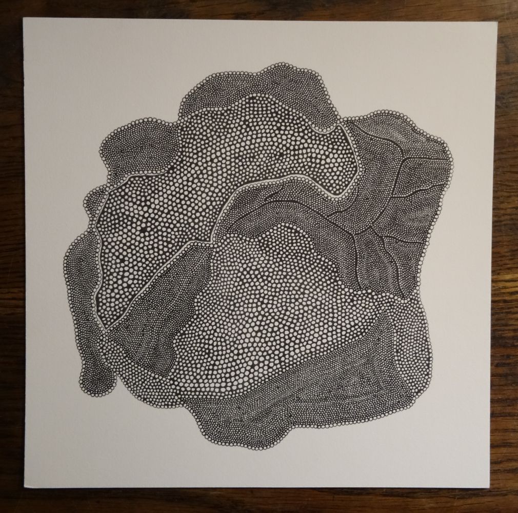 Paysage, dessin au stylo par Émilie B! | Kwaz'Art